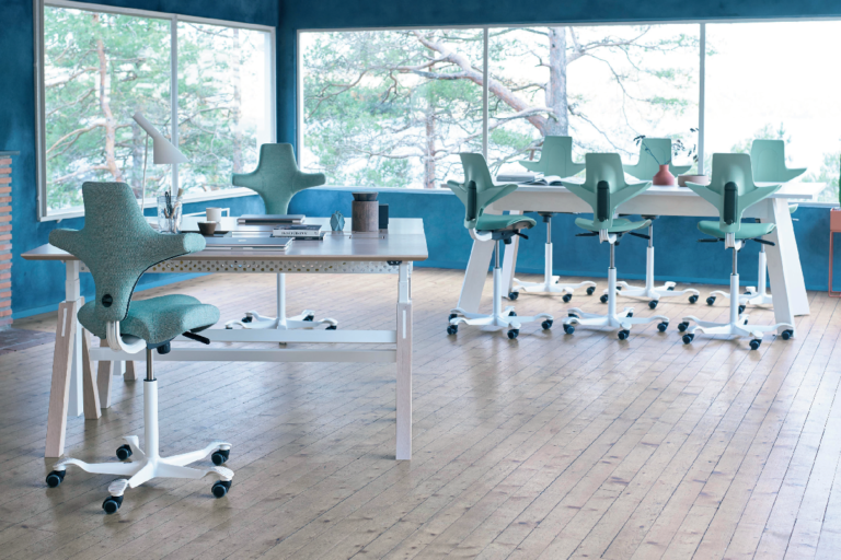 HÂG Capisco | Distrimar